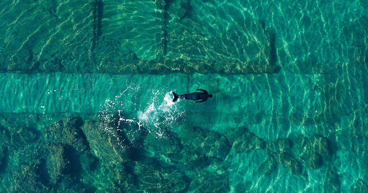 Mori Art Museum 20th Anniversary Exhibition Our Ecology: Toward a ...