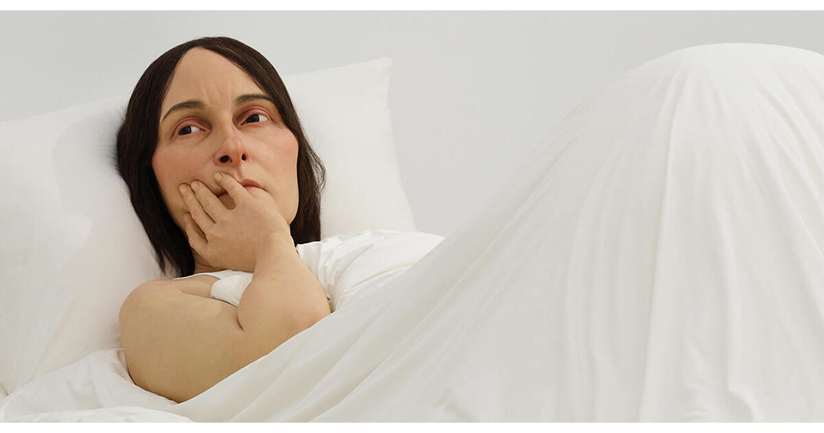 Ron Mueck | Mori Art Museum